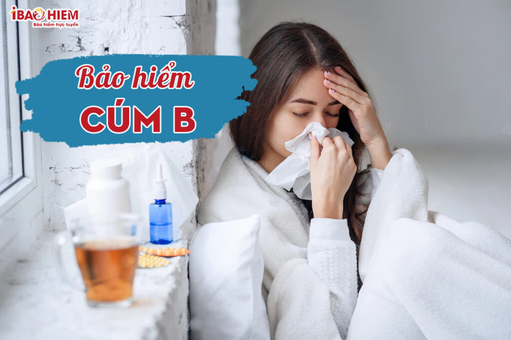 Bảo hiểm trực tuyến IBAOHIEM - Tư vấn bảo hiểm trực tuyến trên toàn quốc